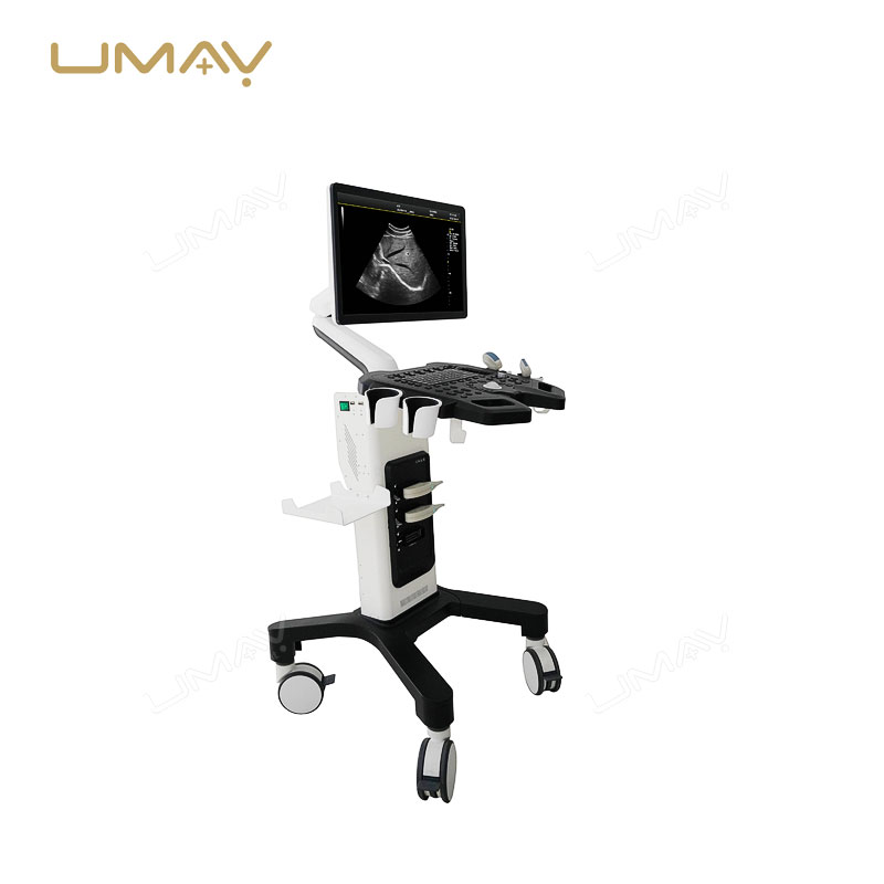 Trolley Color Doppler Ultrasound Machine with 21.5-Inch High-Definition ...