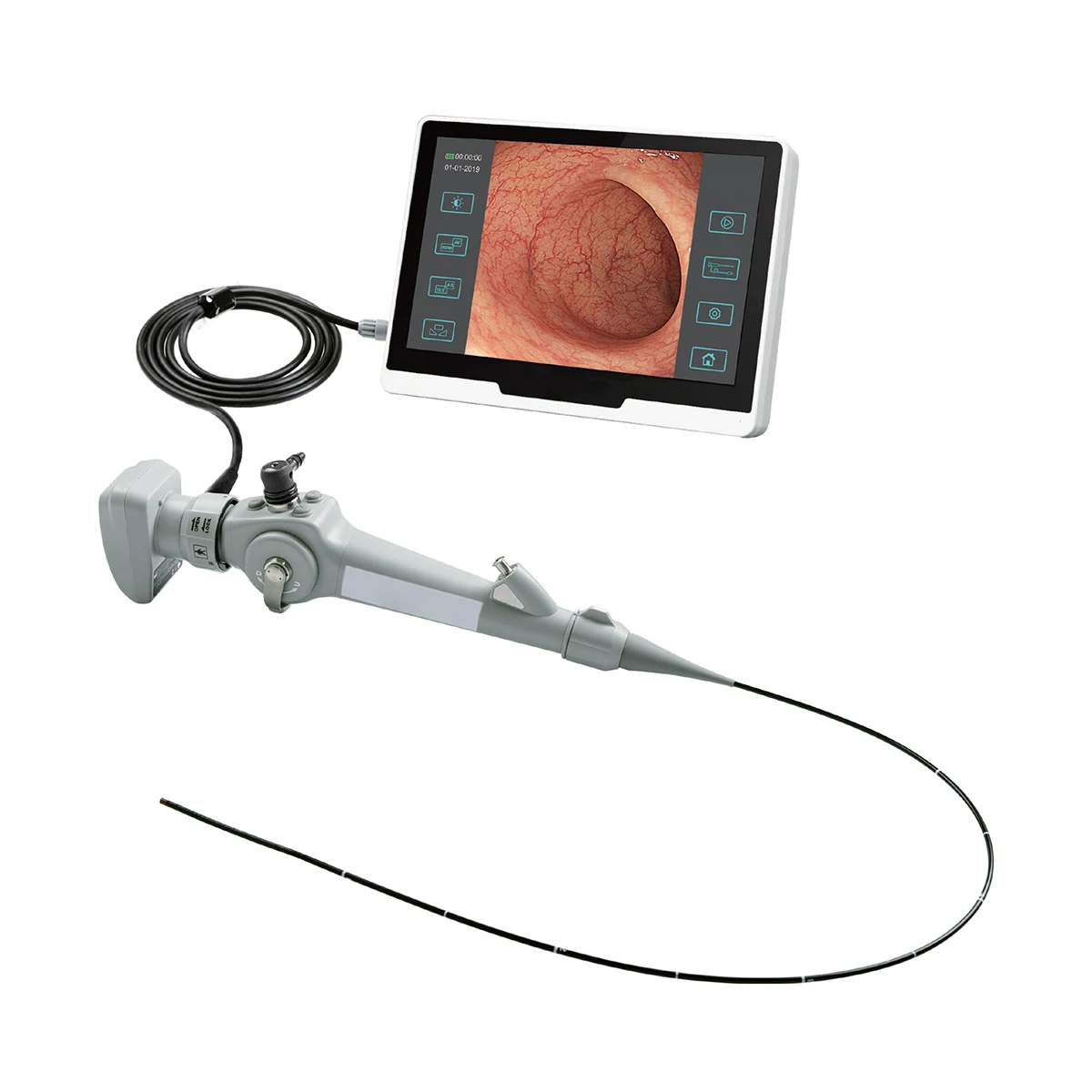 Portable USB Veterinary Endoscope for Hysteroscopy, Vaginoscopy ...