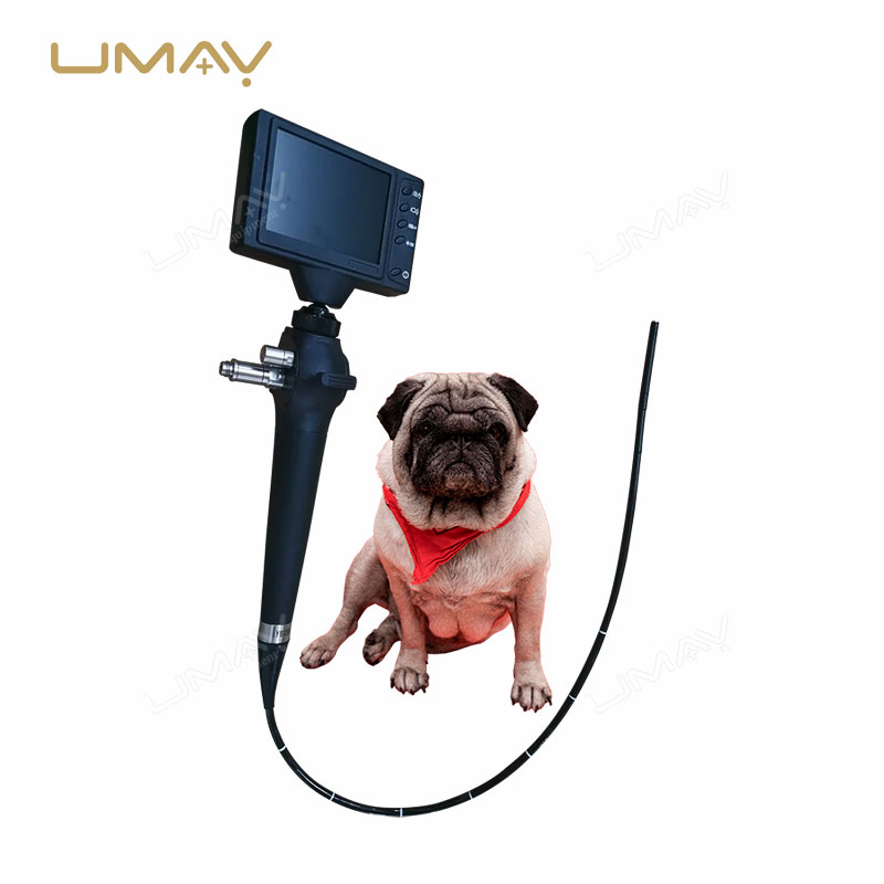 Mini Veterinary Endoscope Camera System for Endoscopy in Small Size Animals