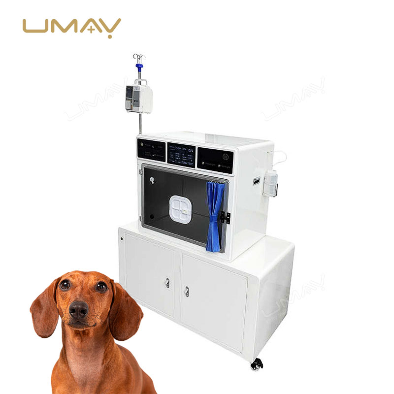 Veterinary Oxygen Therapy Cabin with Temperature Control System for Pet ...