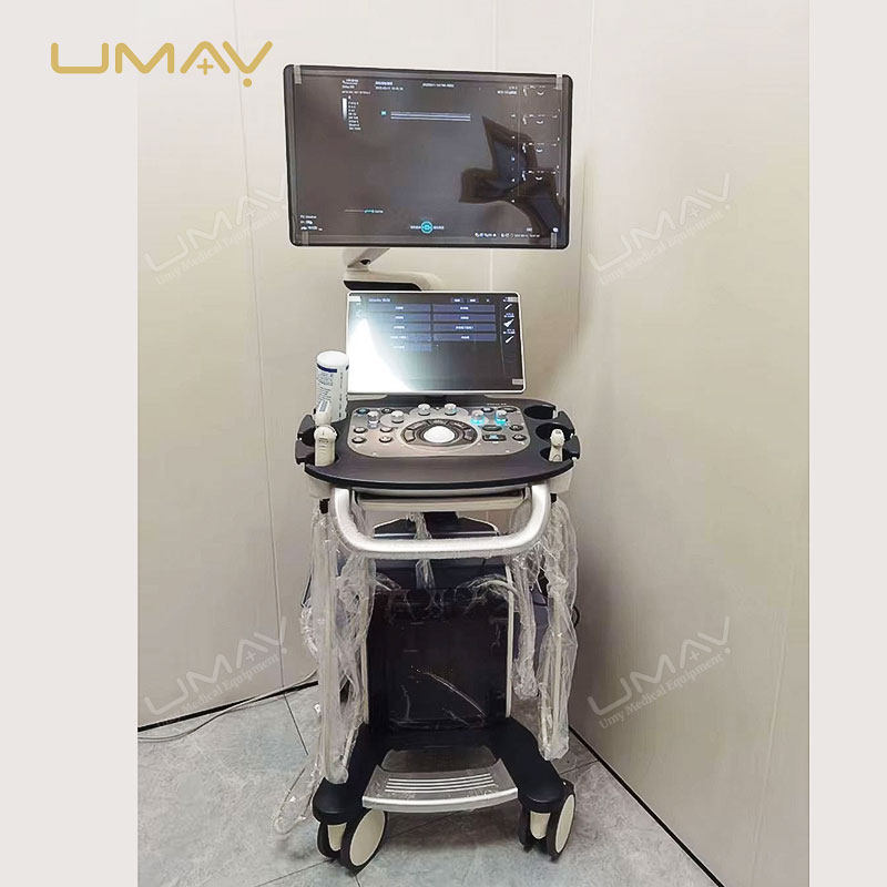 Veterinary Ultrasound Machine Vetus 60 for Multi-Species Imaging and ...
