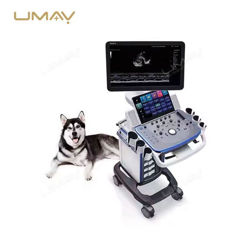 Vetus 5s Vet Diagnostic Ultrasound System for Routine and Specialized ...
