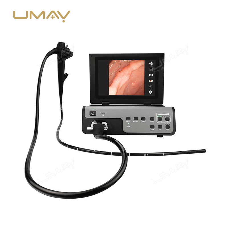 Digital Vet Gastroscope Endoscopy System for Animal Clinics and Field Use