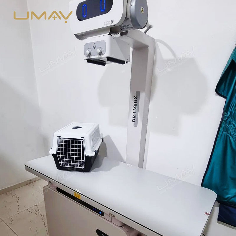Vet Digital X-ray Radiography System Vetix S300 with DR Imaging